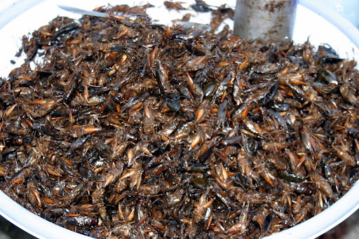 Eating Local: Locusts and Elephants | In the Labyrinth